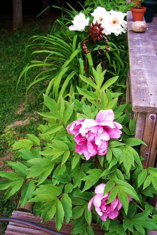 Lake Range Cottage Park: Home